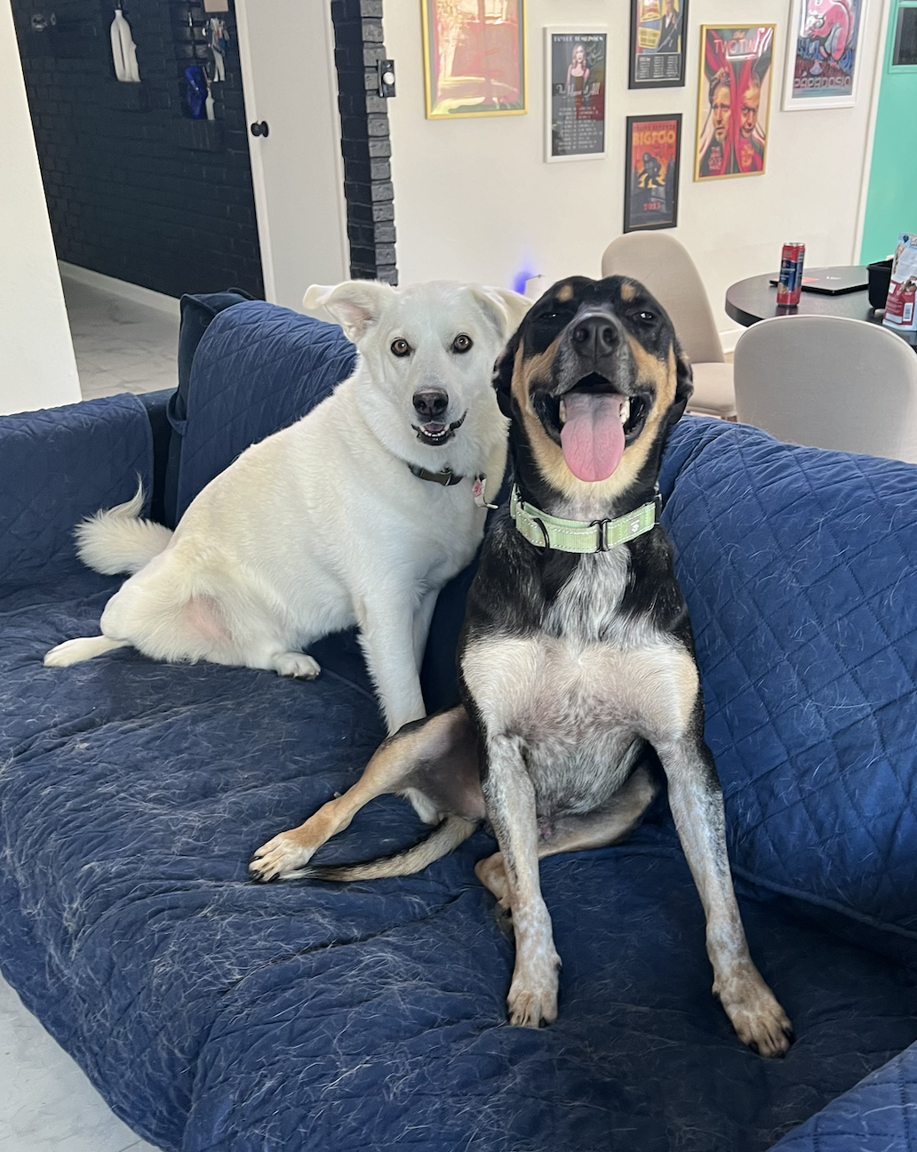 Tan Man – We’re OK Foundation